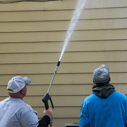 Soft Wash Pros – Specialized Low-Pressure Washing in Eugene, OR